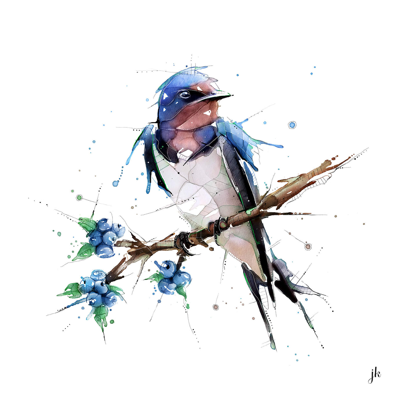 Barn Swallow Canvas Print – jeremykyleart
