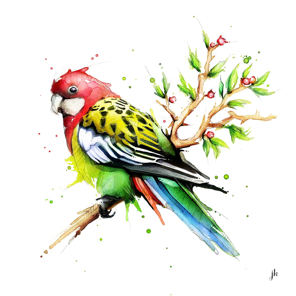 Rosella Canvas Print – jeremykyleart