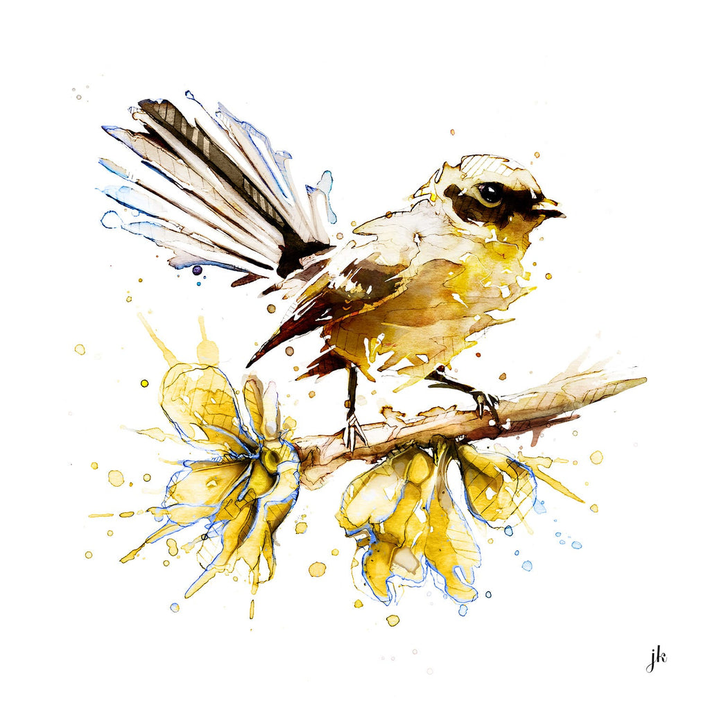 Fantail Canvas Print – jeremykyleart
