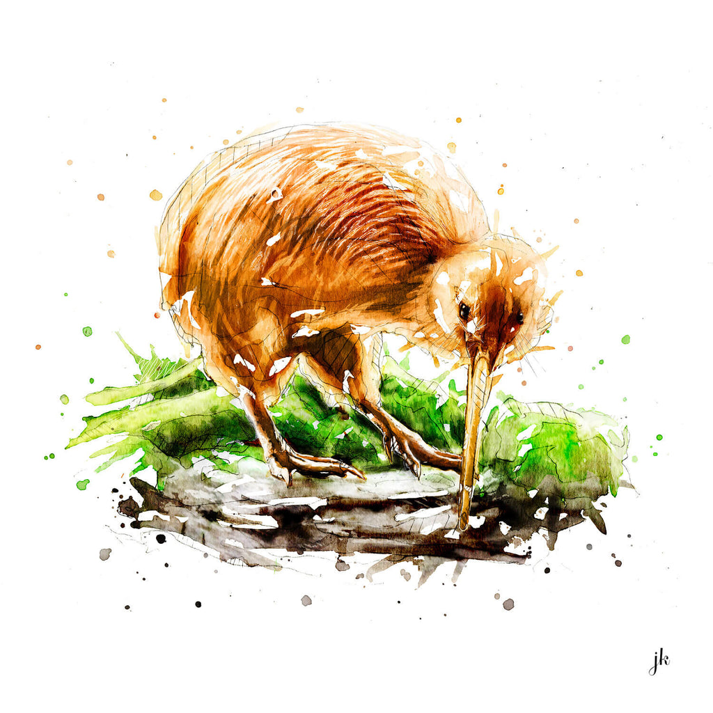 Kiwi Canvas Print – jeremykyleart