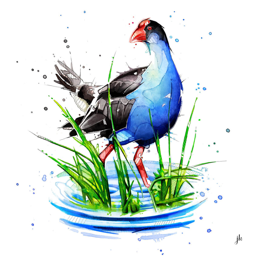 Pukeko Canvas Print – jeremykyleart